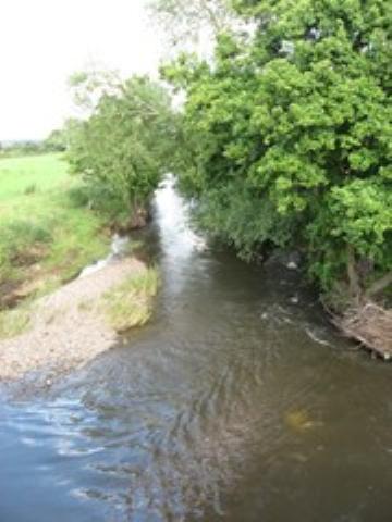 Flintshire - Fishing Guide Wales 2023