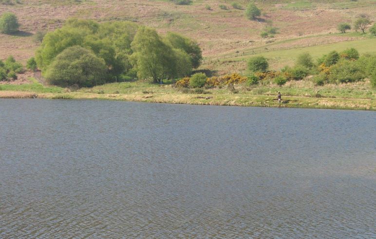 Flintshire - Fishing Guide Wales 2023