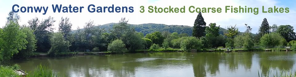 Conwy - Fishing Guide Wales 2023