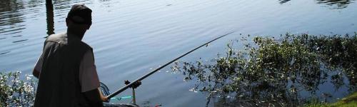 Gwynedd - Fishing Guide Wales 2023