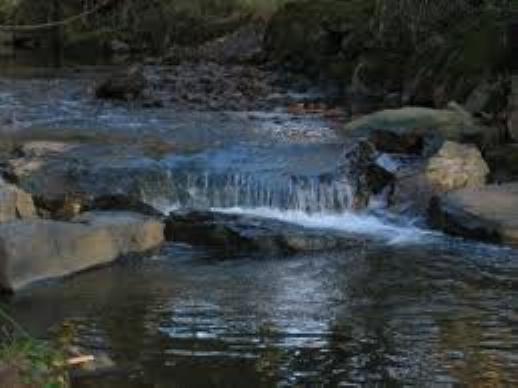 Carmarthenshire - Fishing Guide Wales 2022