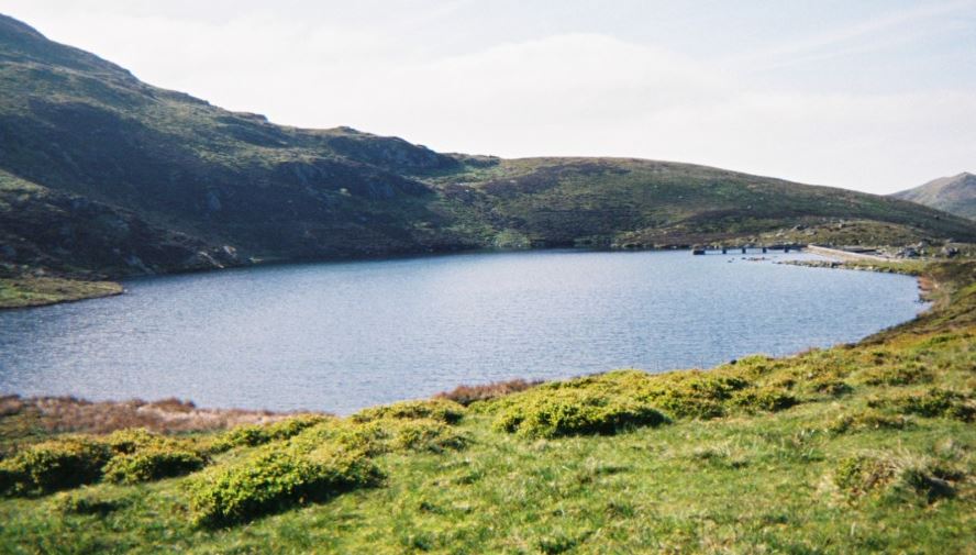 Gwynedd - Fishing Guide Wales 2022