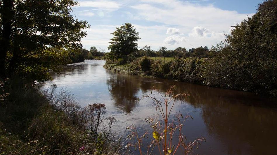 Carmarthenshire - Fishing Guide Wales 2023