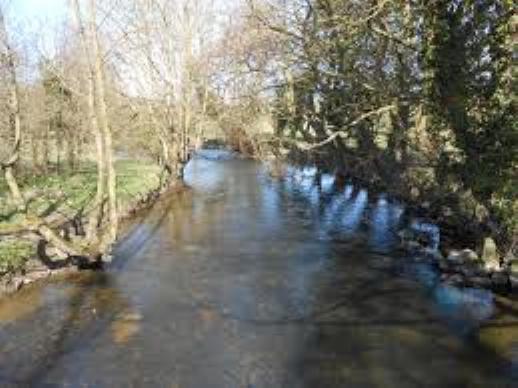 Flintshire - Fishing Guide Wales 2023