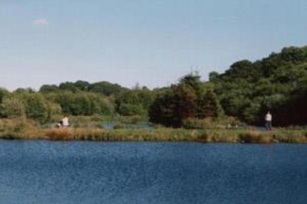 Flintshire - Fishing Guide Wales 2023