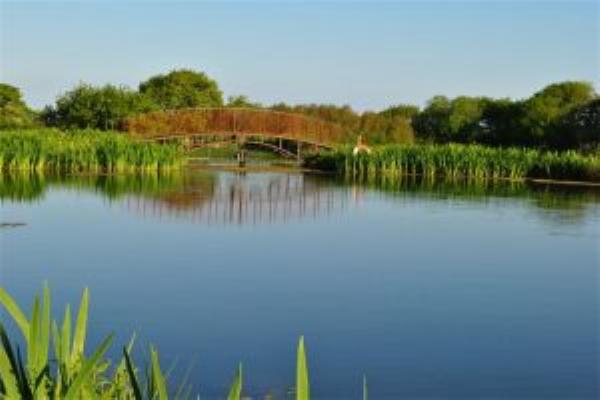 Conwy - Fishing Guide Wales 2023