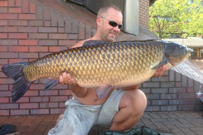 Welsh Record Fish list - Fishing Guide Wales 2023