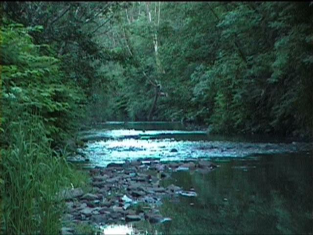 Rhondda Cynon Taf - Fishing Guide Wales 2023