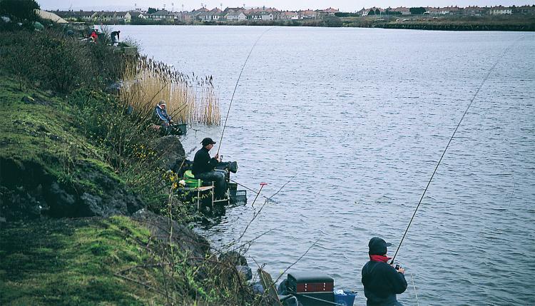 Neath and Port Talbot - Fishing Guide Wales 2023