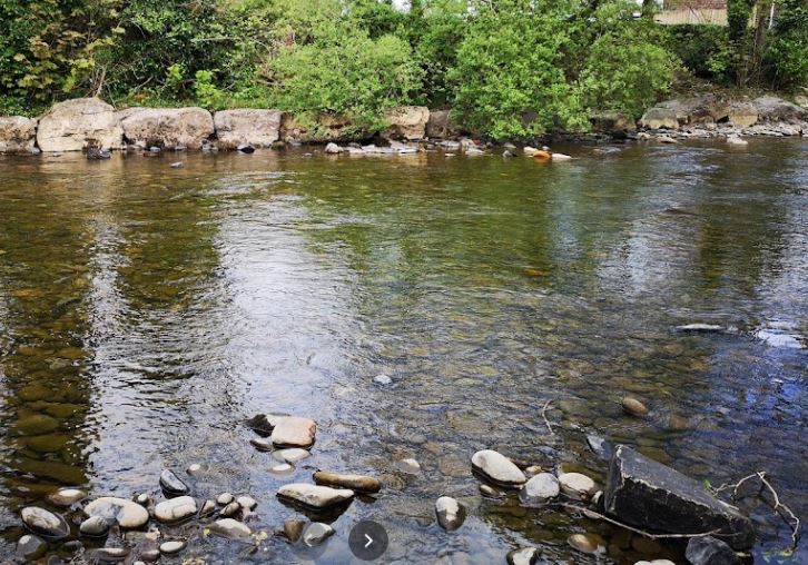 Neath and Port Talbot - Fishing Guide Wales 2023