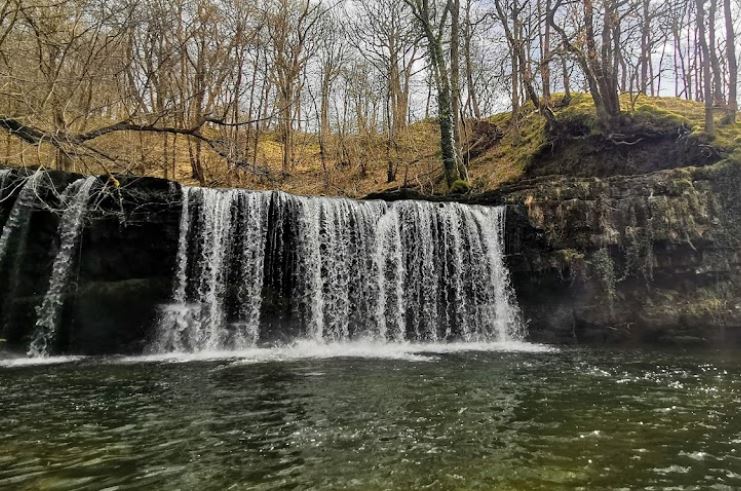 Neath and Port Talbot - Fishing Guide Wales 2023
