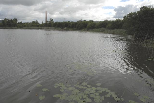 Neath and Port Talbot - Fishing Guide Wales 2023