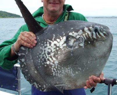 Welsh Record Fish list - Fishing Guide Wales 2022