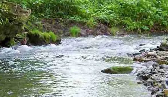 Powys North - Fishing Guide Wales 2023