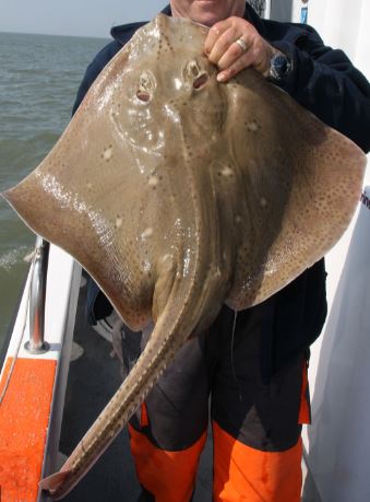 Welsh Record Fish list - Fishing Guide Wales 2022