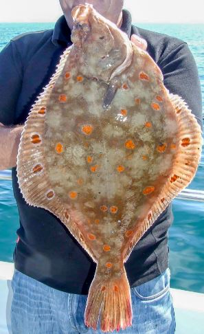 Welsh Record Fish list - Fishing Guide Wales 2022