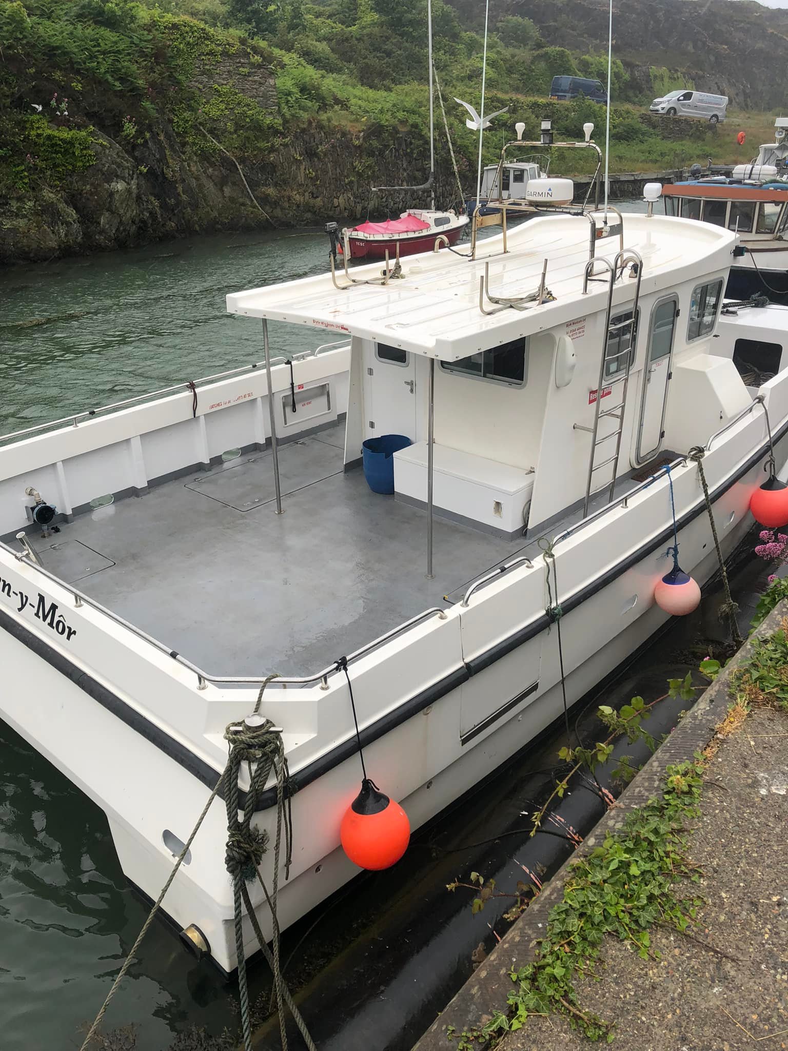 SEA FISHING - Fishing Guide Wales 2023