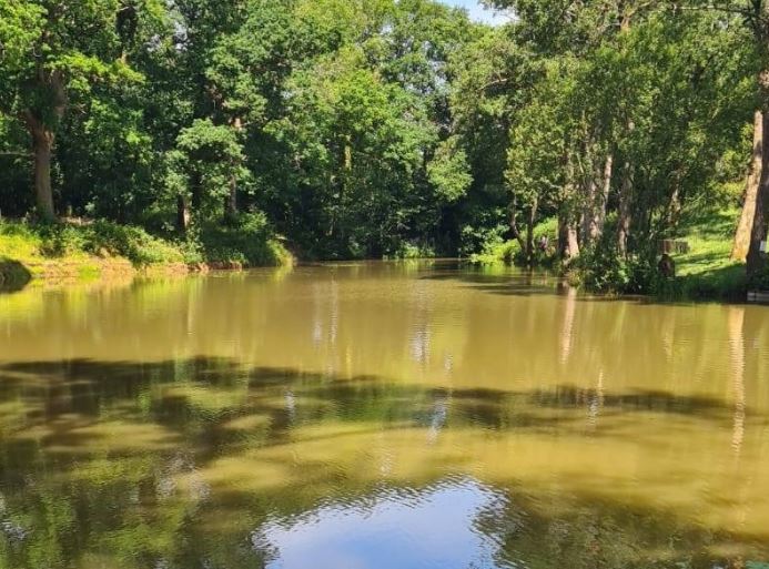 Vale of Glamorgan - Fishing Guide Wales 2022